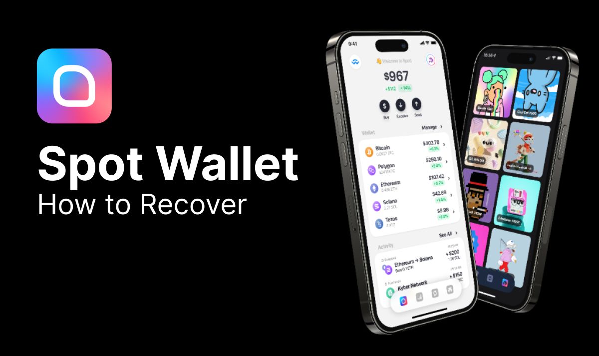 How to recover Spot Wallet? | Coin Wallet