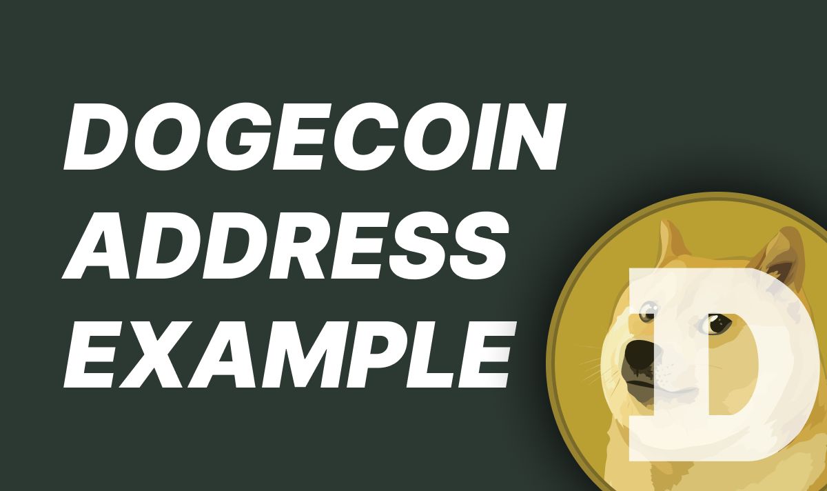 Dogecoin Address Example Coin Wallet Dogecoin Address Example Coin Wallet