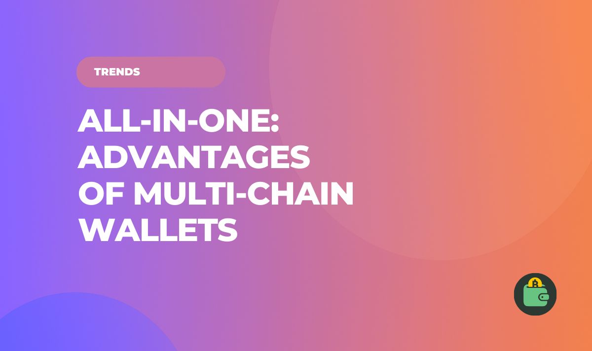 One Wallet, Many Chains: The Growth of Multi-Chain Solutions | Coin Wallet
