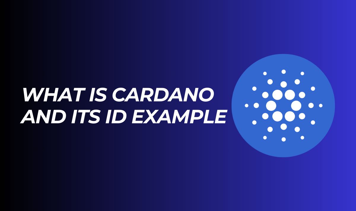 What is Cardano? A Closer Look at Cardano | Coin Wallet