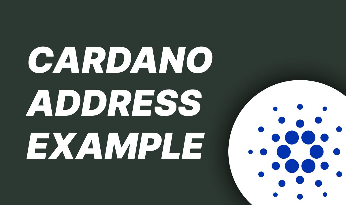 Cardano address example | Coin Wallet